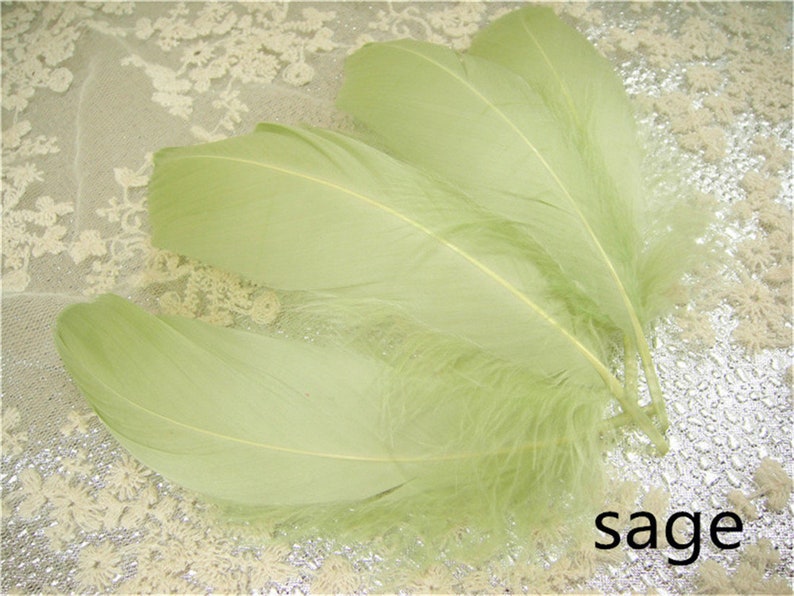Wholesale Natural Real Dyed Stripped Goose Feathers for Millinery ...