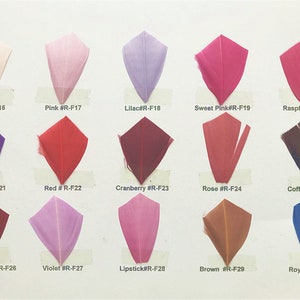 80 Colors Handcraft 1012 Chevron Cut Coque - Etsy