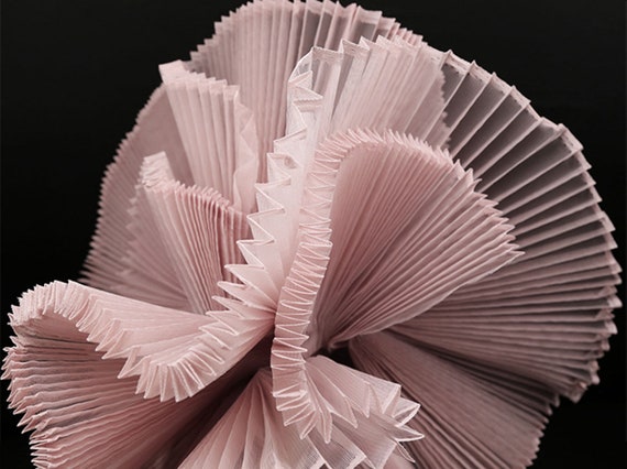 Chiffon Organ Pleated Lace Fabric Folded Fringe Trimming for - Etsy