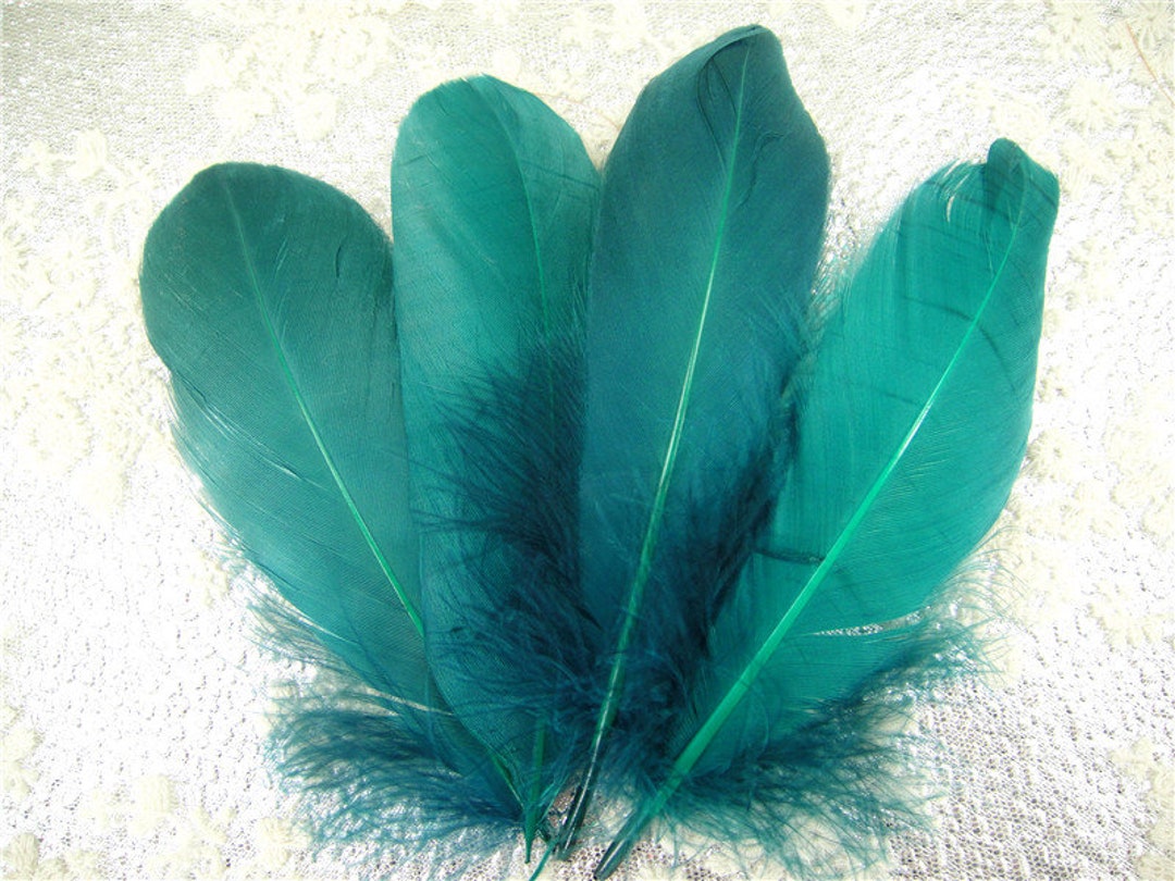 10 PCS Teal Natural Real Stripped Goose Feathers for Millinery Hat ...