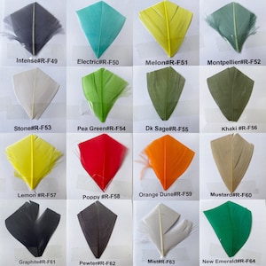 80 Colors Handcraft 10"-12" Chevron Cut Coque Feather Stripped ...