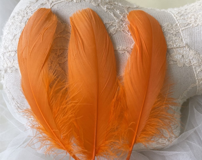 80 Colours Dyed Natural Real Stripped Goose Feathers for Fascinators ...