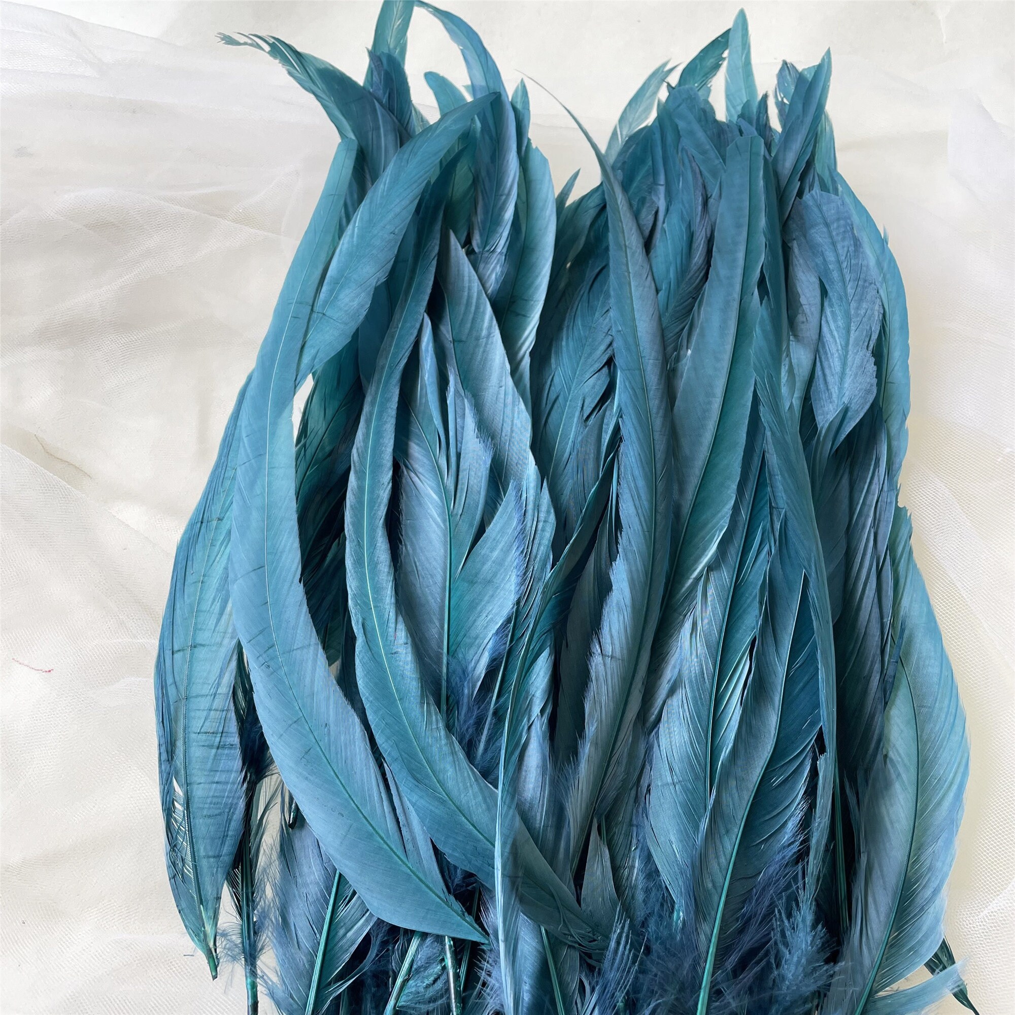80 Colors Natural Long Stripped Coque Tail Feathers for - Etsy