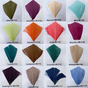 80 Colors Handcraft 10"-12" Chevron Cut Coque Feather Stripped ...