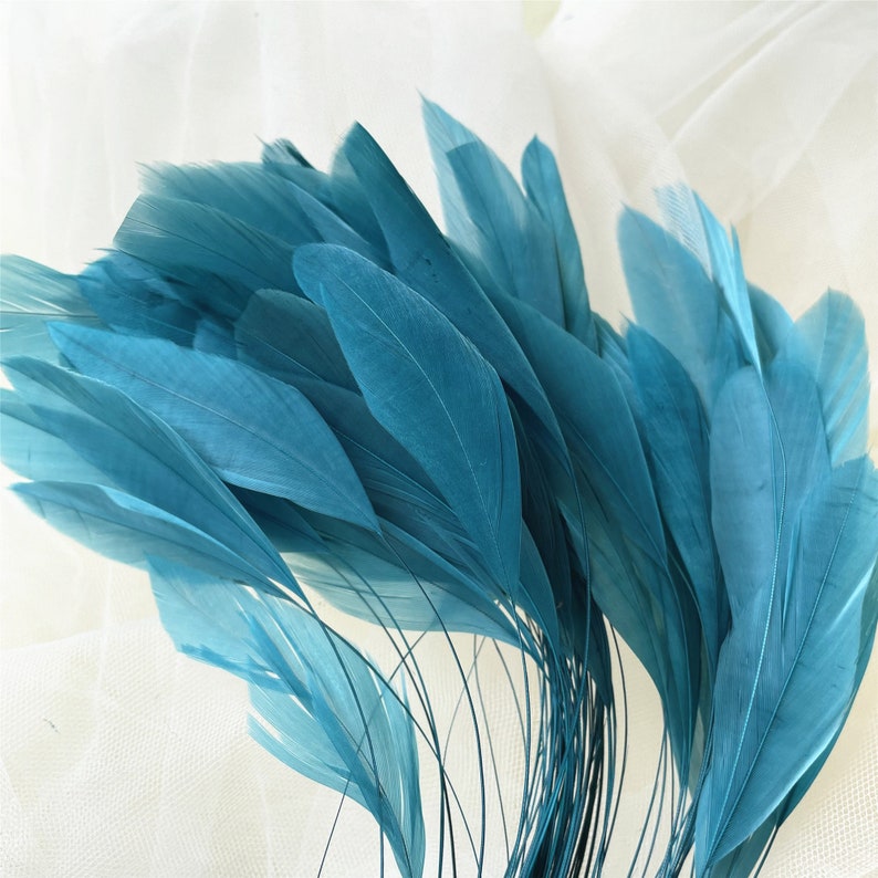 80 Colors Natural Stripped Coque Feathers for Millinery & - Etsy