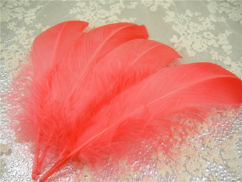 10 PCS Coral Natural Real Stripped Goose Feathers for - Etsy