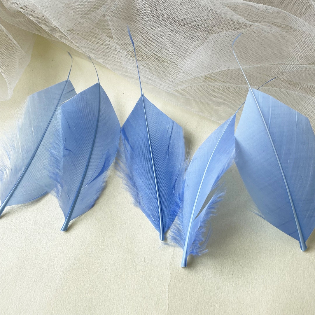 80 Colours Goose Feathers Dyed Natural Feathers for Fascinators ...