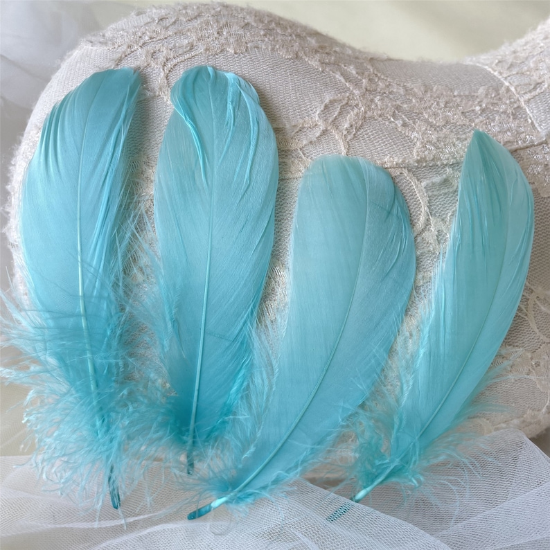 80 Colours Dyed Natural Real Stripped Goose Feathers for - Etsy