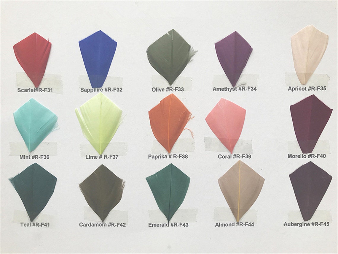 80 Colors Handcraft 1012 Chevron Cut Coque - Etsy