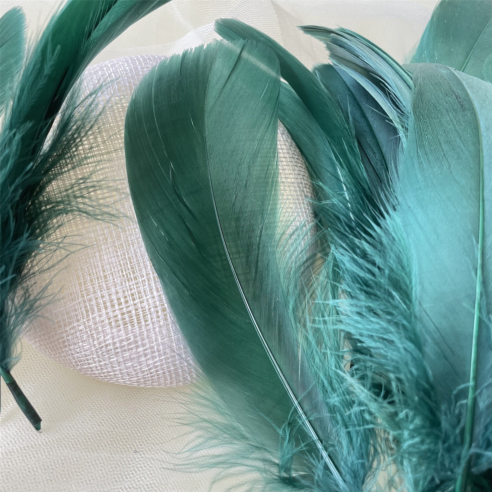 80 Colours Dyed Natural Real Stripped Goose Feathers for - Etsy