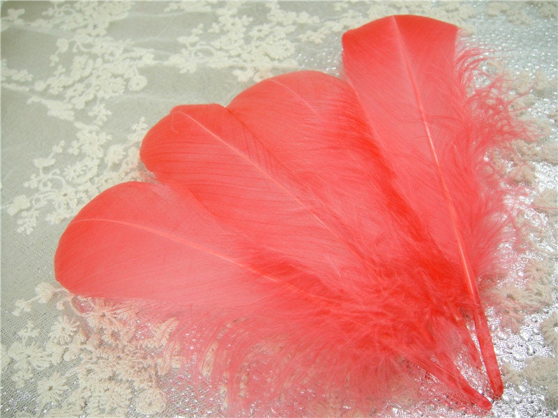 10 PCS Coral Natural Real Stripped Goose Feathers for - Etsy