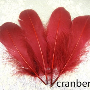 Dyed Natural Real Stripped Goose Feathers for Millinery Hat Making ...