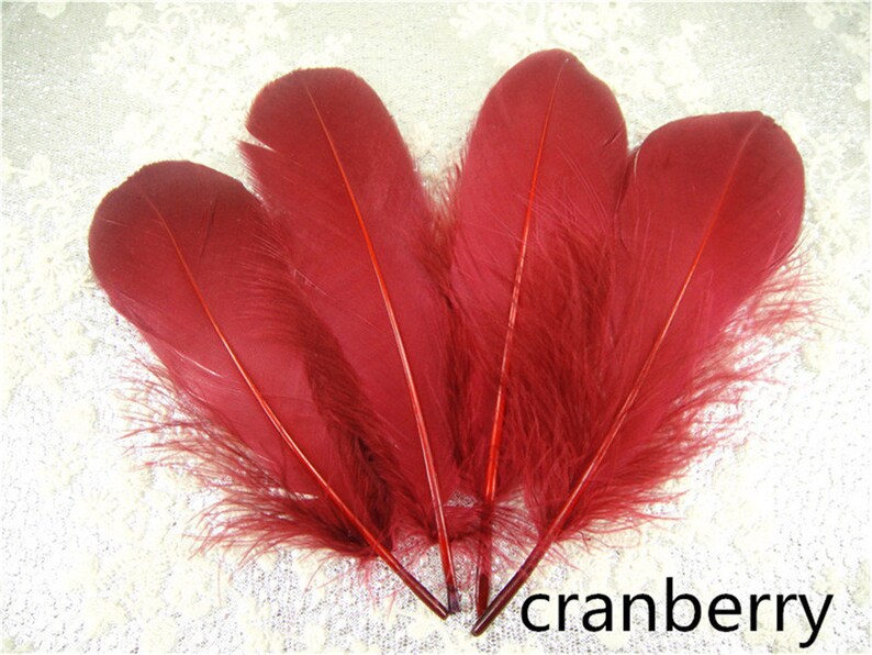 Dyed Natural Real Stripped Goose Feathers for Millinery Hat - Etsy