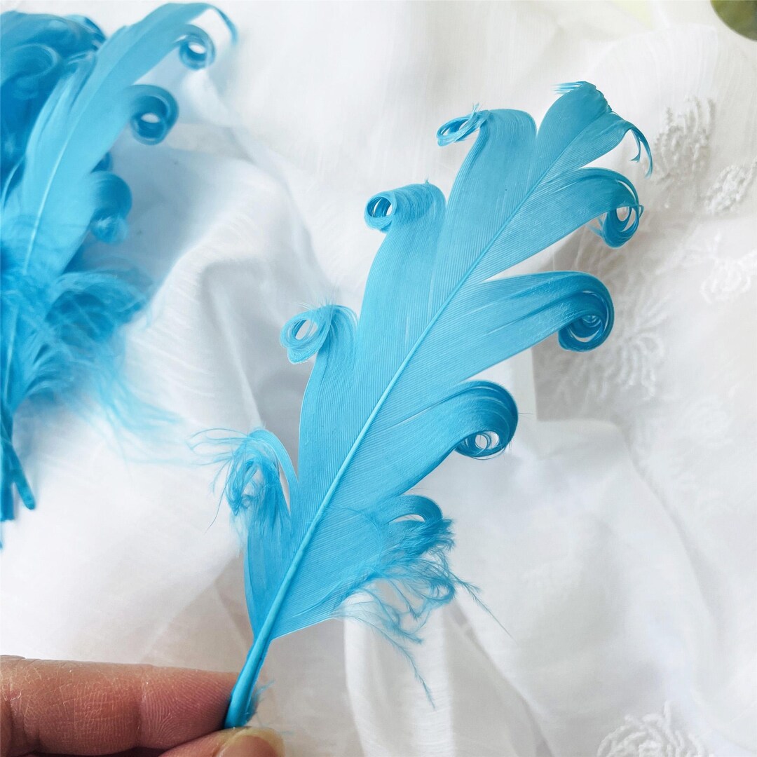 80 Colors Dyed Natural Goose Feathers for Millinery Hat Making ...