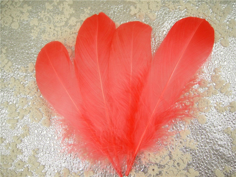 10 PCS Coral Natural Real Stripped Goose Feathers for - Etsy