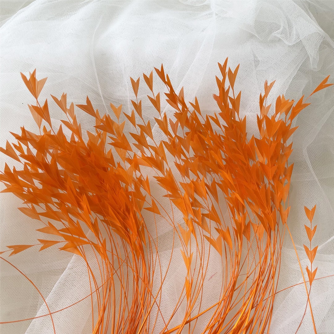 80 Colours Tipped Stripped Coque Feather Burnt Feather Wired Fascinator ...