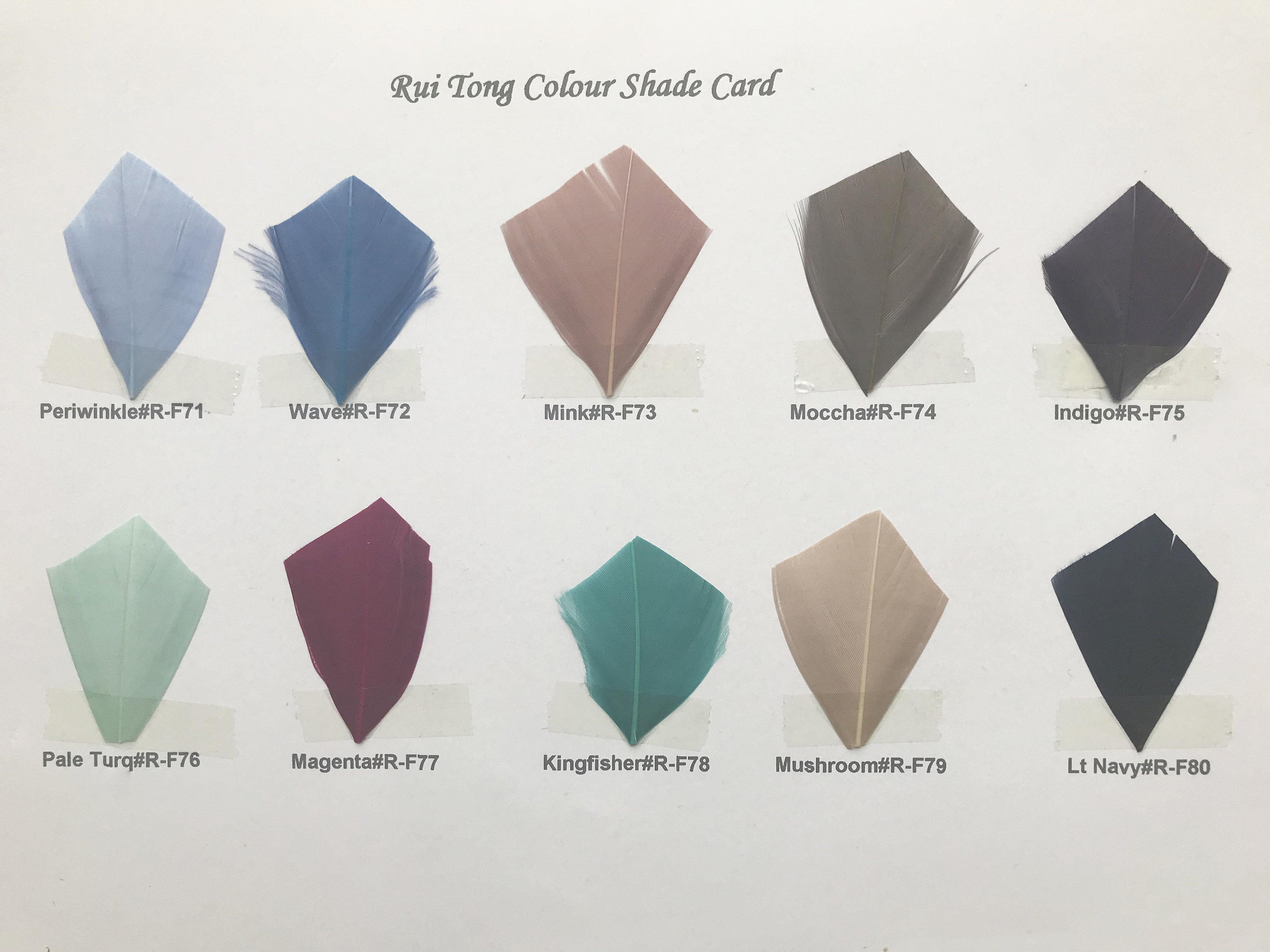 80 Colors Natural Long Stripped Coque Tail Feathers for - Etsy