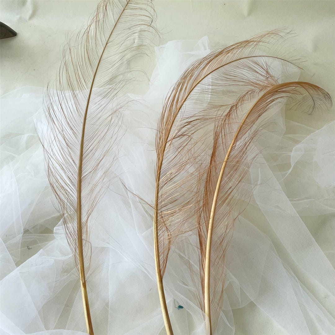 80 Colors Ostrich Feathers Plume DIY Wedding Party Table Christmas ...