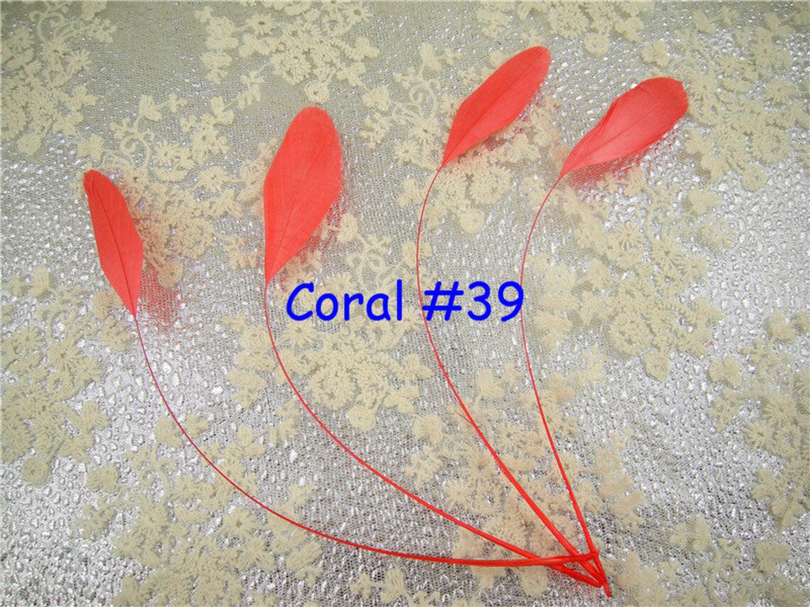 Loose Natural Stripped Coque Feathers for Fascinators Millinery & Plume ...