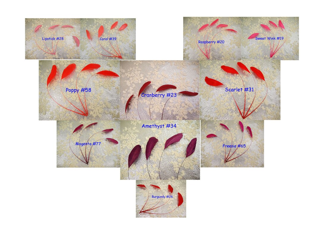 Loose Natural Stripped Coque Feathers for Fascinators Millinery & Plume ...