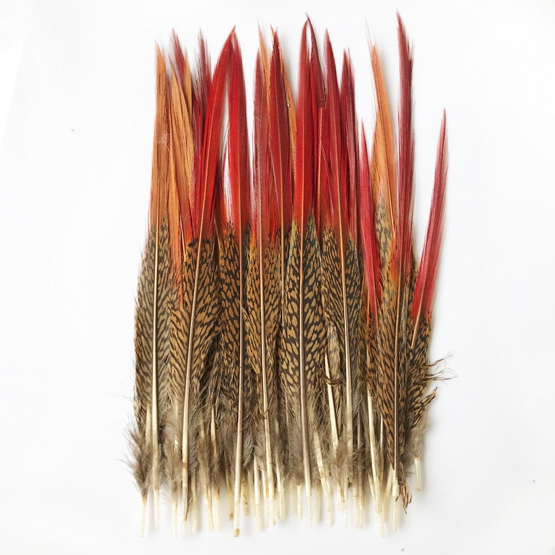 Red Feathers - Etsy