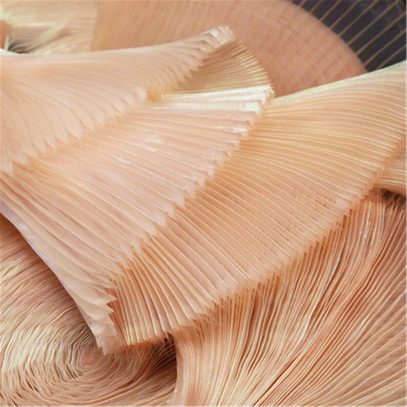 Organ Pleated Lace Fabric Folded Trimming Mesh for Bridal - Etsy