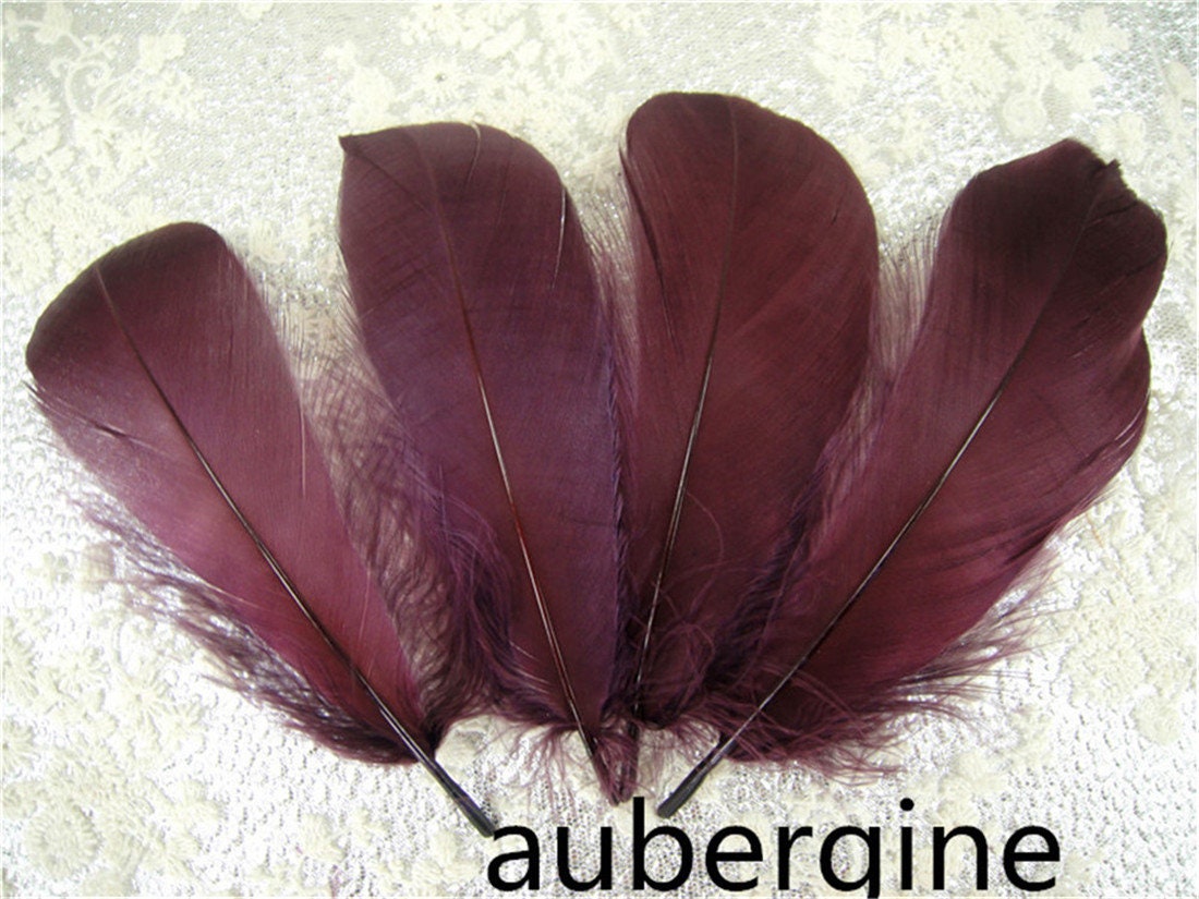 Dyed Natural Real Stripped Goose Feathers for Millinery Hat Making ...