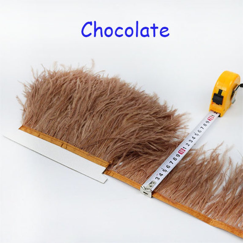 Natural Ostrich Feather Trimming Fringe Tassels Plume With - Etsy