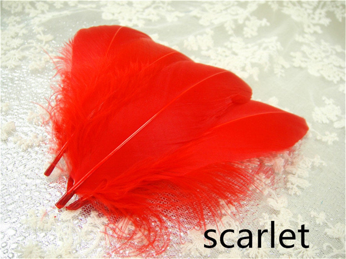 Dyed Natural Real Stripped Goose Feathers for Millinery Hat - Etsy