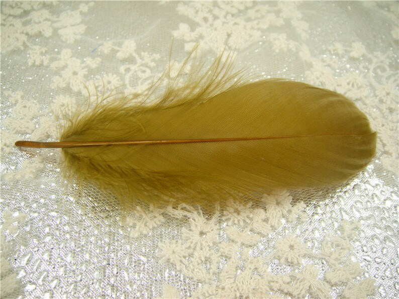 10 PCS Gold Dyed Natural Real Stripped Goose Feathers for | Etsy