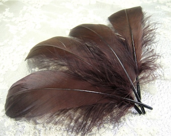 10 PCS Natural Real Stripped Goose Feathers for Millinery Hat | Etsy