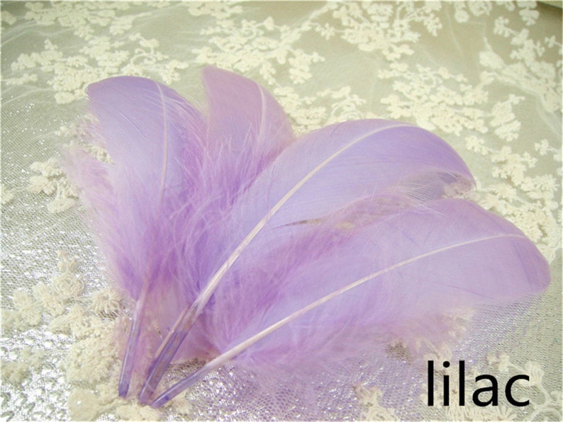 Dyed Natural Real Stripped Goose Feathers for Millinery Hat Making ...