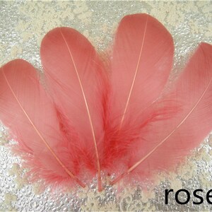 Dyed Natural Real Stripped Goose Feathers for Millinery Hat Making ...