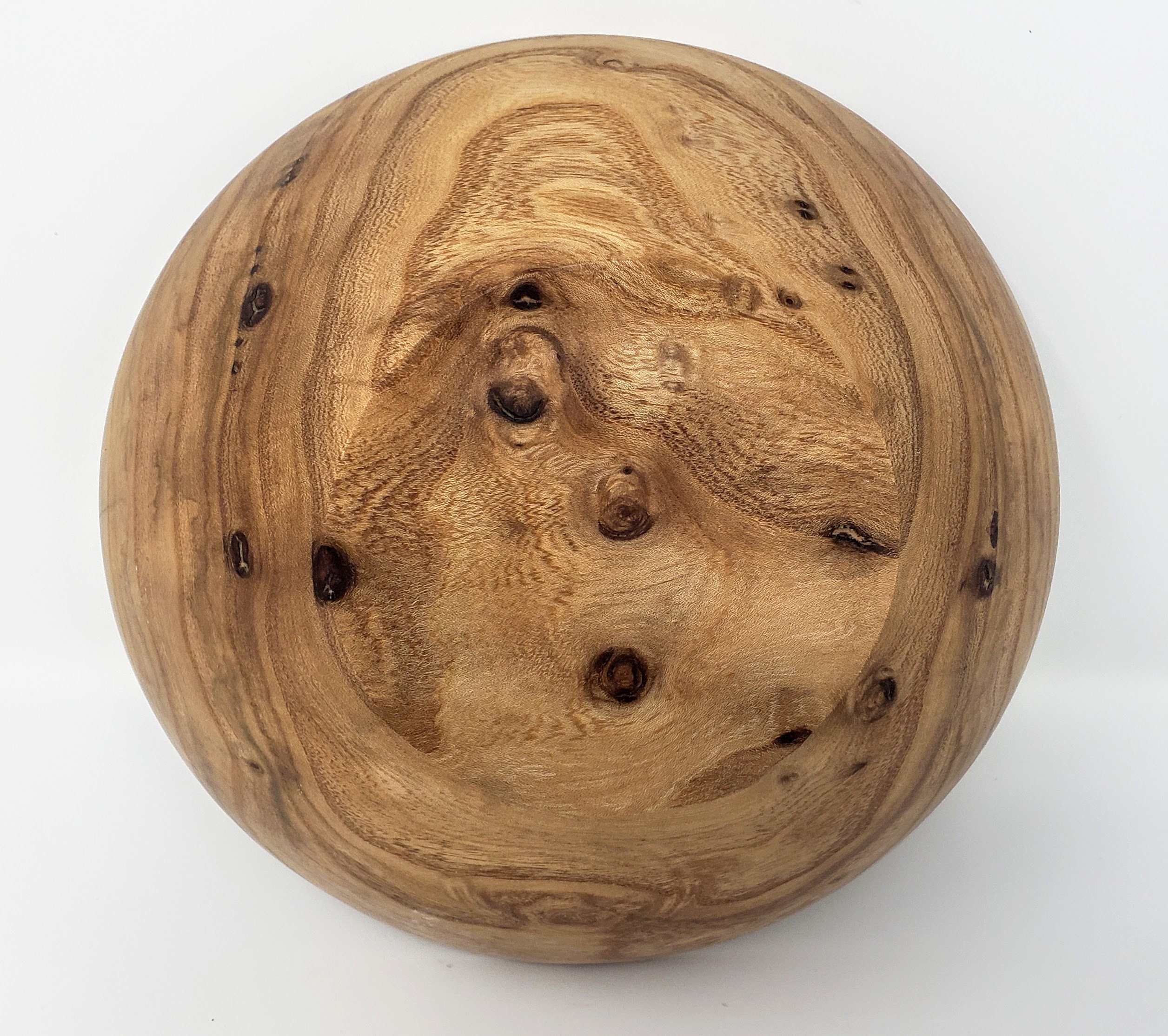 American Elm Burl - Etsy