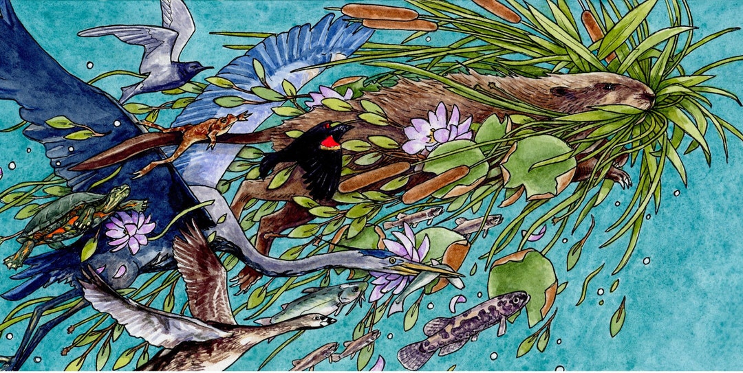 Muskrat Builds the World - Etsy