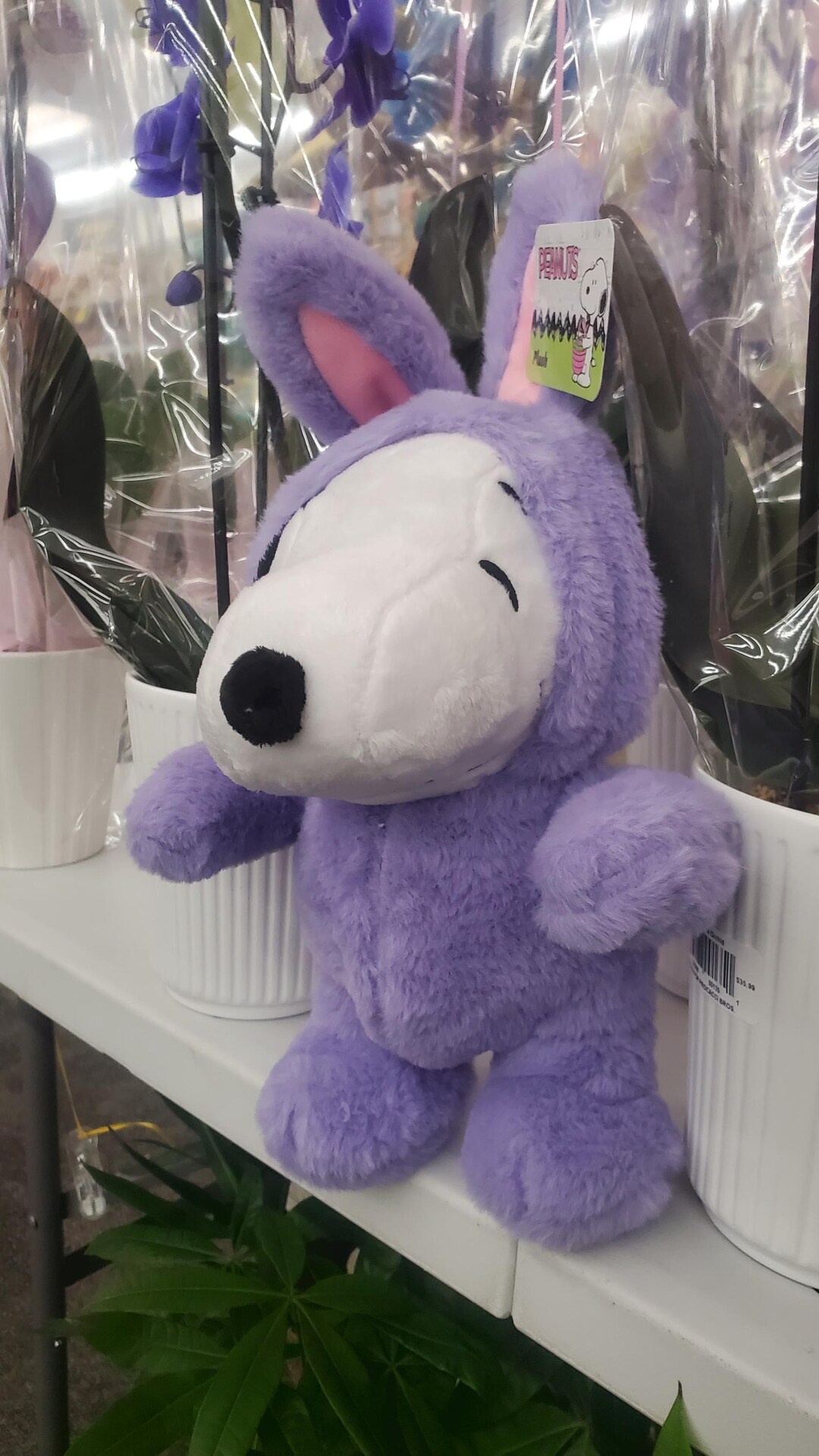 2025 Easter Peanuts Snoopy in a Purple Bunny Custome NWT Exclusive - Etsy