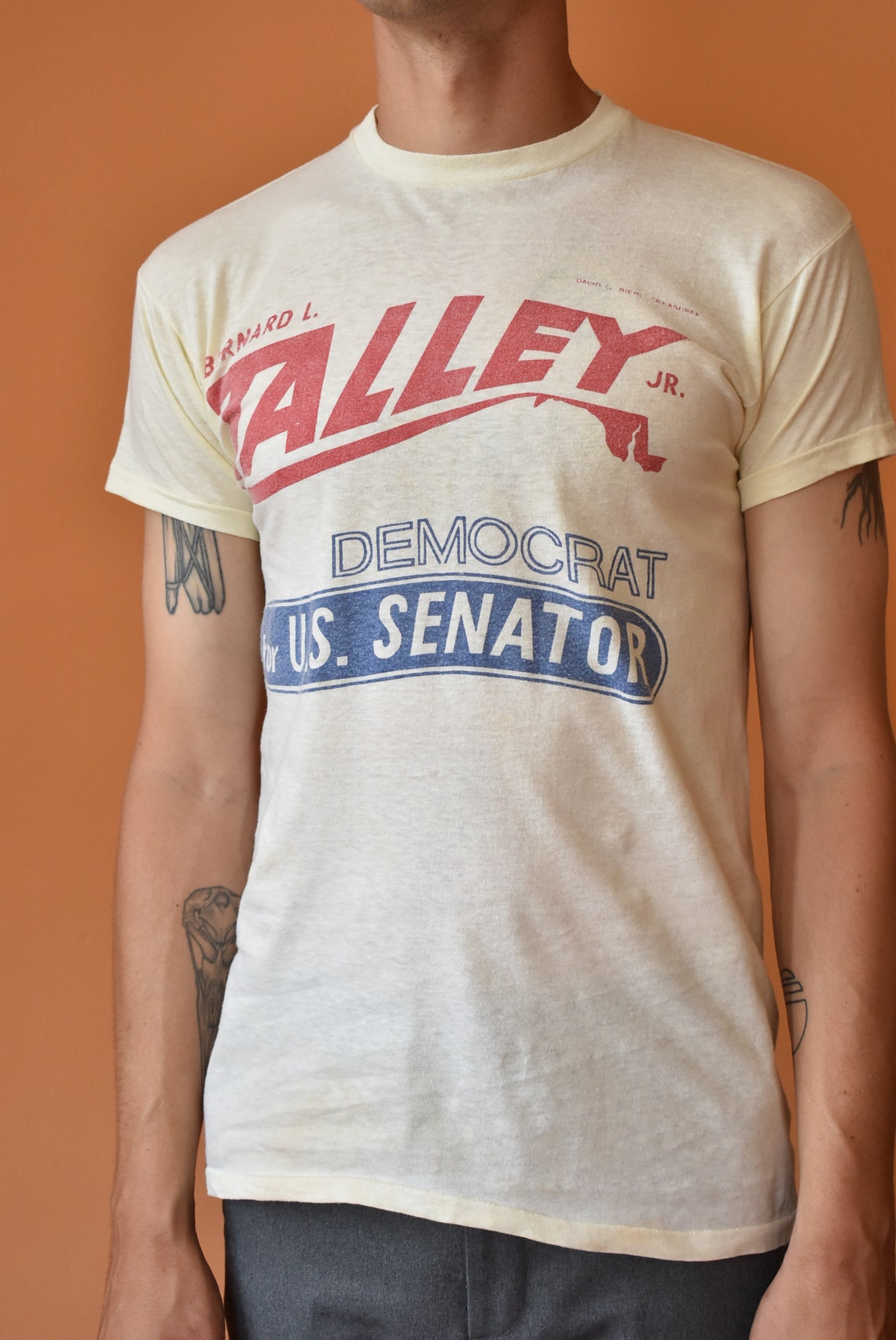 Vintage 1970s Democrat Political Campaign Tee Shirt 2 Sided | Etsy