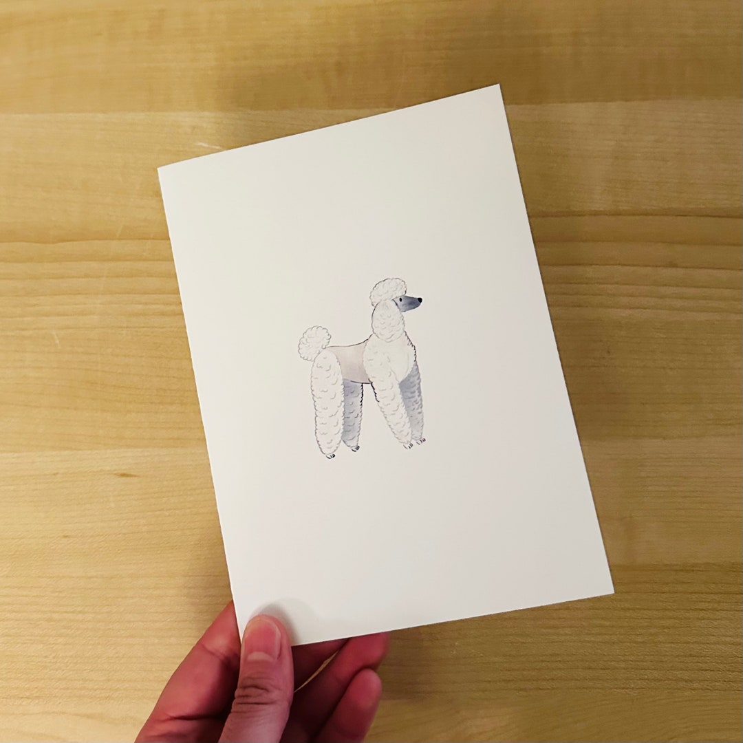 Poodles Cards Pack, Greeting Card, Poodle, Birthday, Card Greeting ...