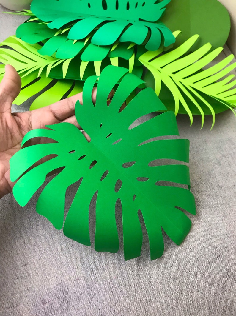 24 Monstera Leaves in Mixed Green Colors of Paper, Physical Tropical ...