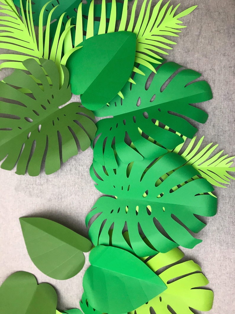 24 Monstera Leaves in Mixed Green Colors of Paper, Physical Tropical ...