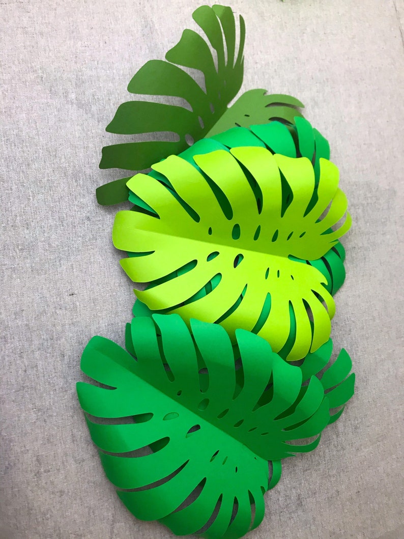 24 Monstera Leaves in Mixed Green Colors of Paper, Physical Tropical ...