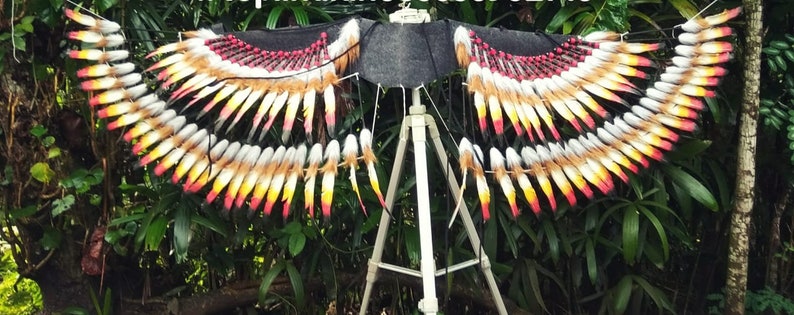 Custom Order Indian Style Wings, Native American Costume Wings Replica ...