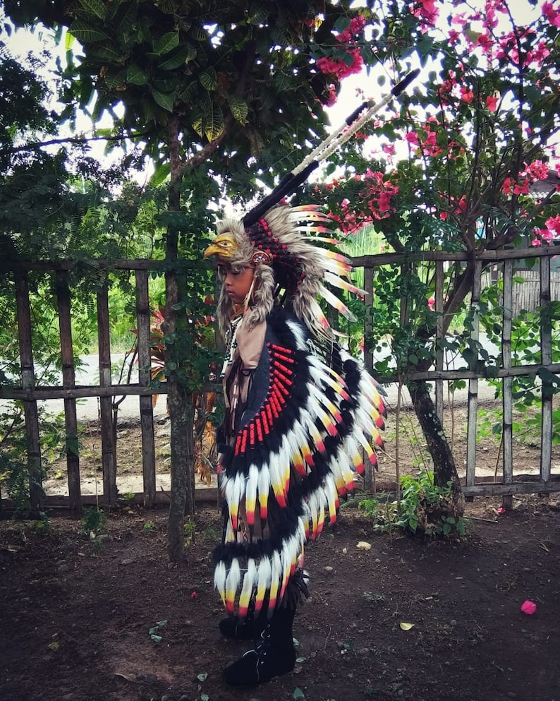 Custom Order Indian Style Wings, Native American Costume Wings Replica ...