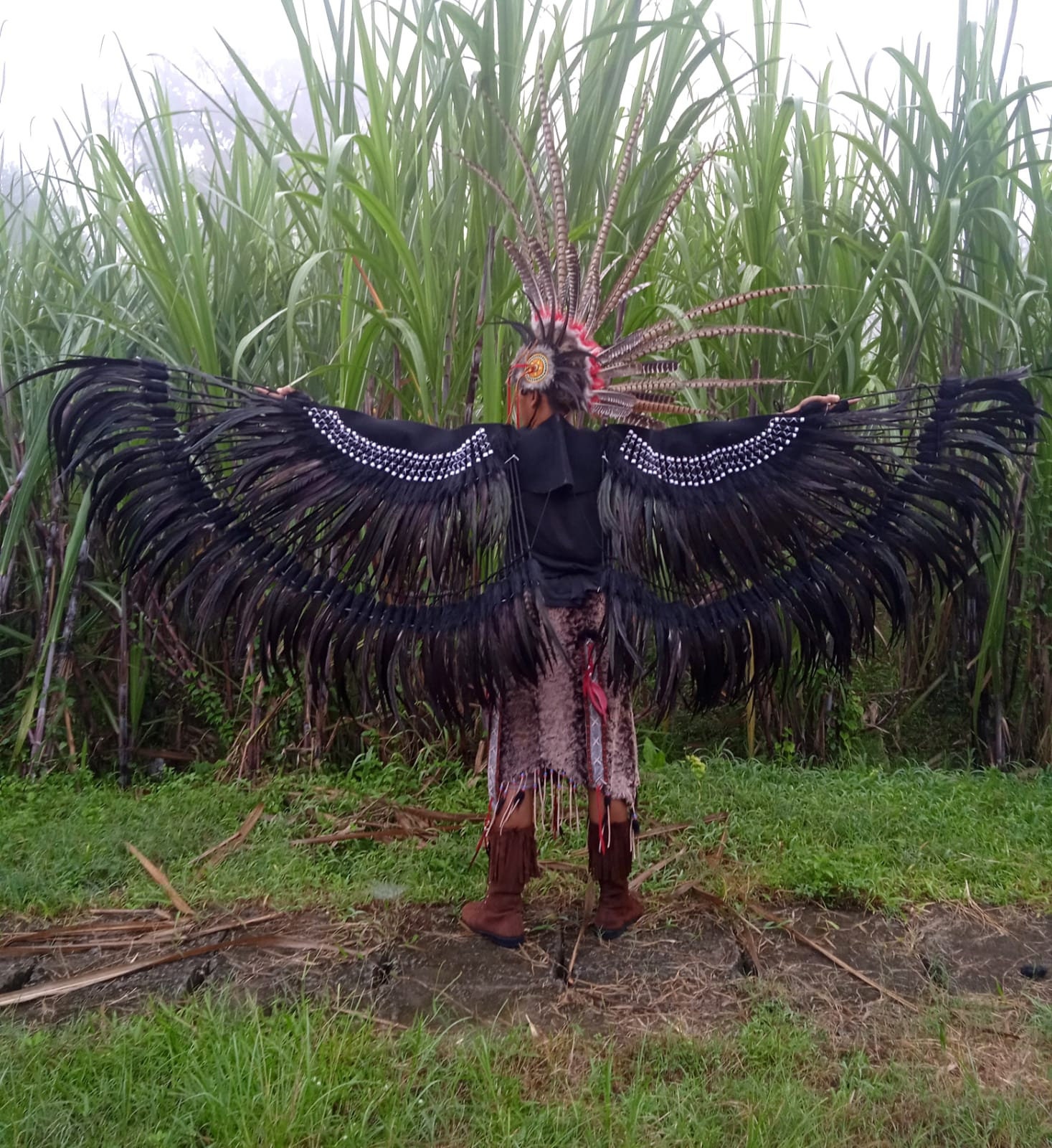 Indian Style Wings Custom Order Native American Costume Wings - Etsy