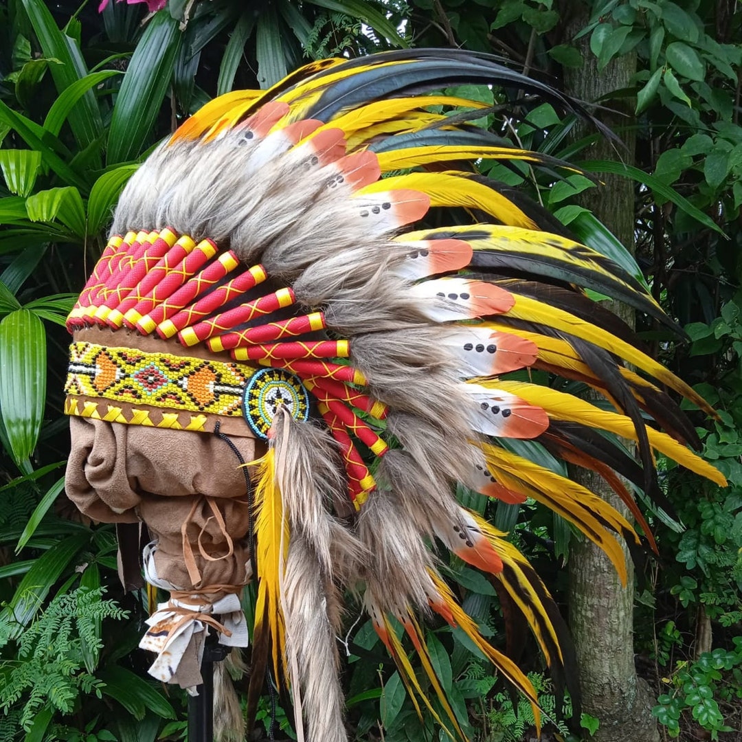Double Feathers Indian Headdress Replica, Native American Style ...