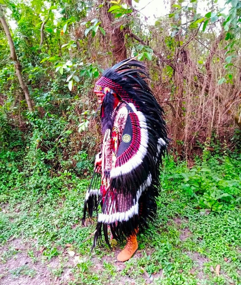 Indian Style Wings Custom Order, Native American Costume Wings Replica ...