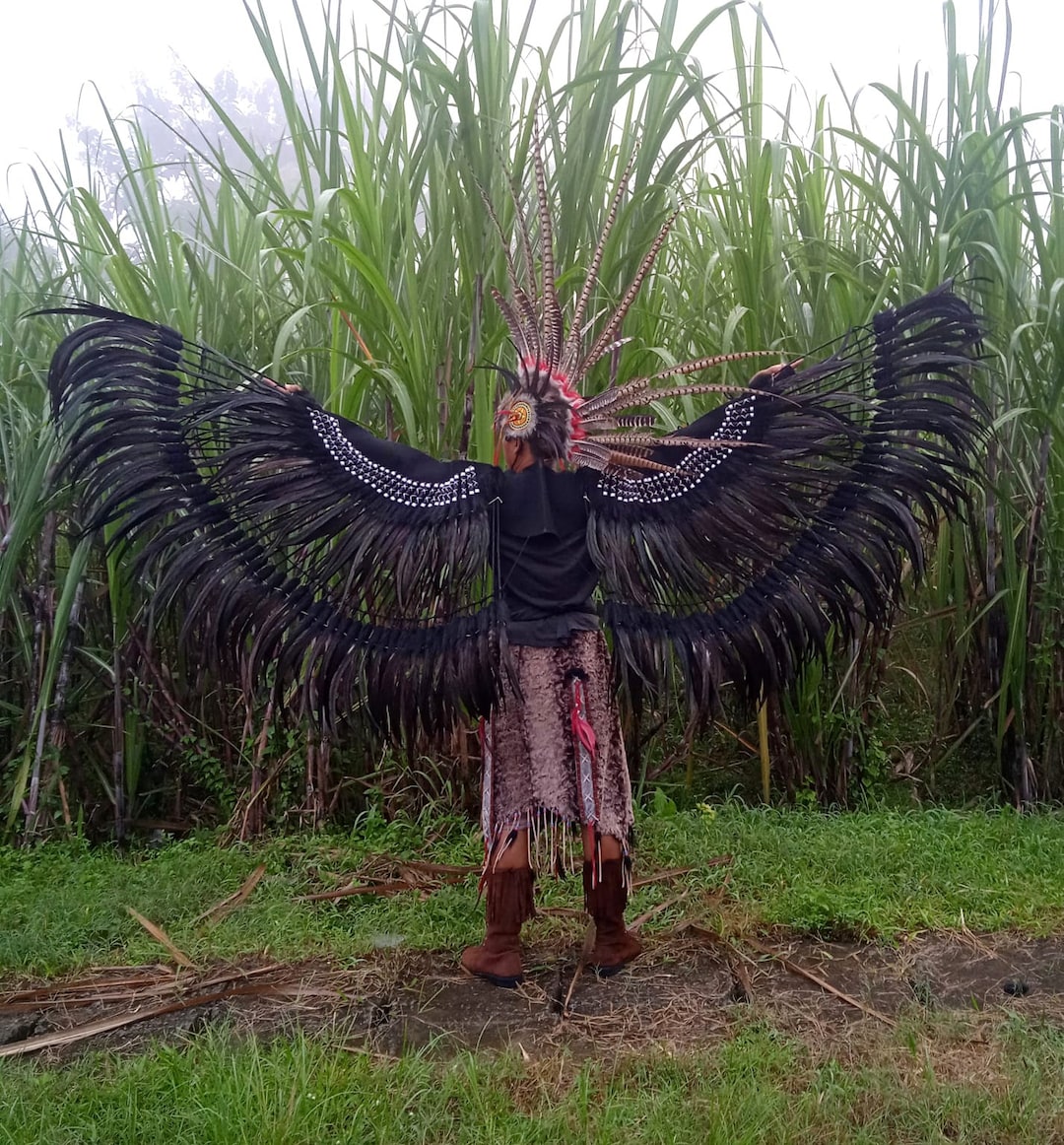 Indian Style Wings Custom Order, Native American Costume Wings Replica ...