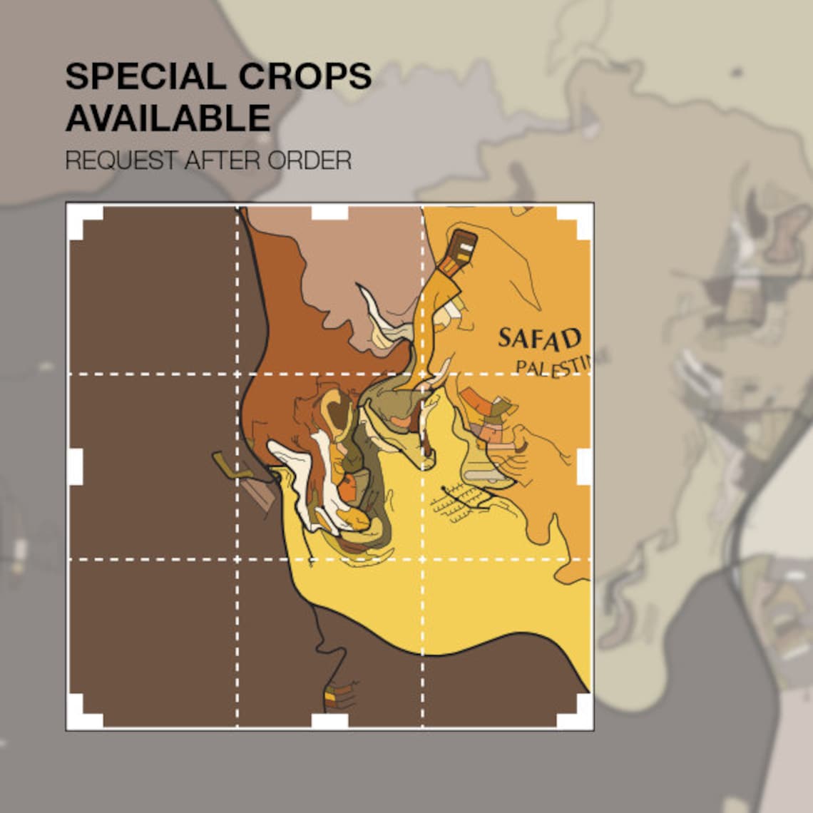 Safad Palestine Map Print Modern Contemporary Chroma Color | Etsy