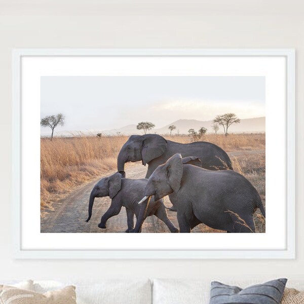 Elephant Poster - Etsy