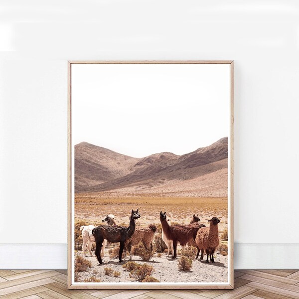 Alpaca Poster - Etsy